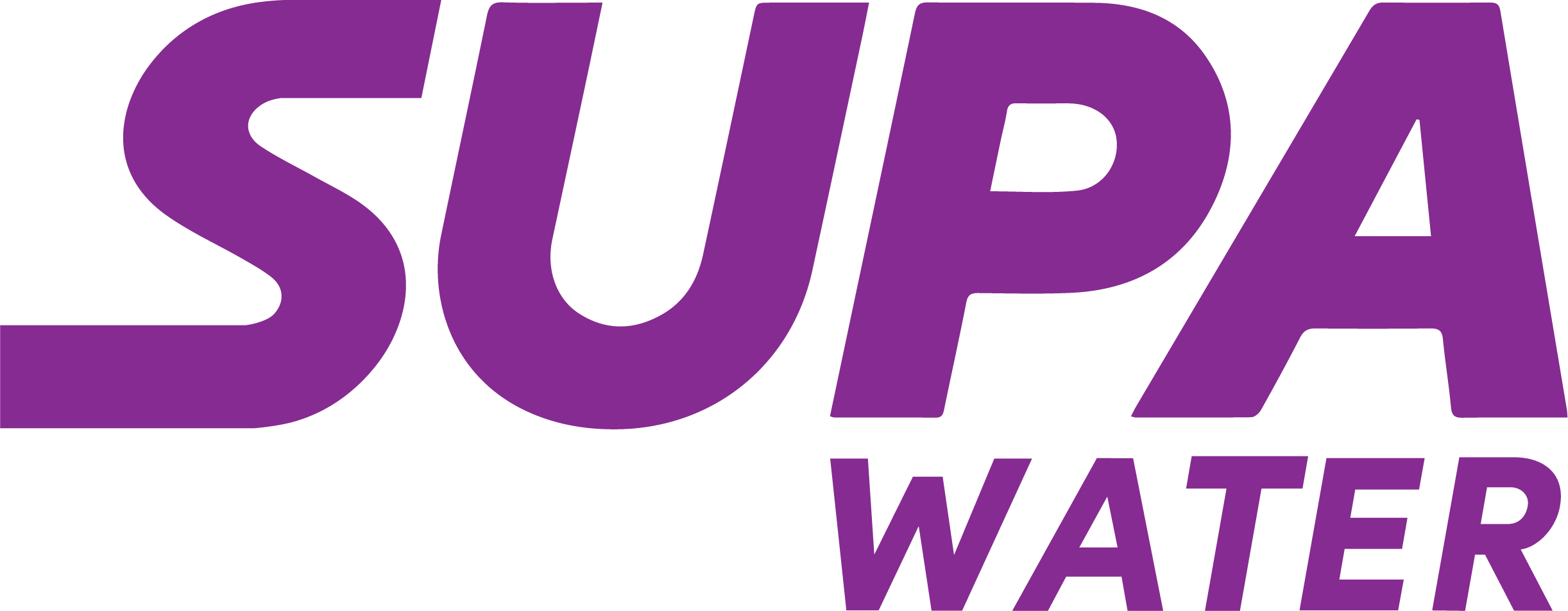 Karāpiro Marathon - Partners